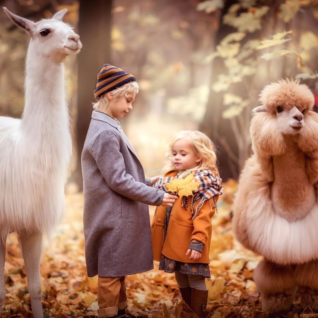 Pics : బొమ్మ కాదు బేబీ... ఇన్‌స్టాగ్రామ్ మోస్ట్ క్యూట్ గర్ల్ వయోలా ...