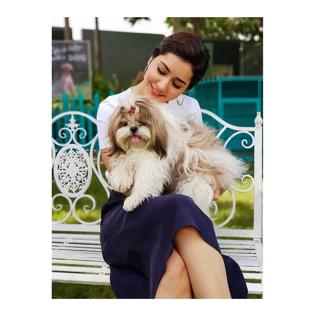 పెంపుడు కుక్కలతో మన హీరోయిన్లు.. కాస్ట్‌లీ పెట్ డాగ్స్.. | Hot ...