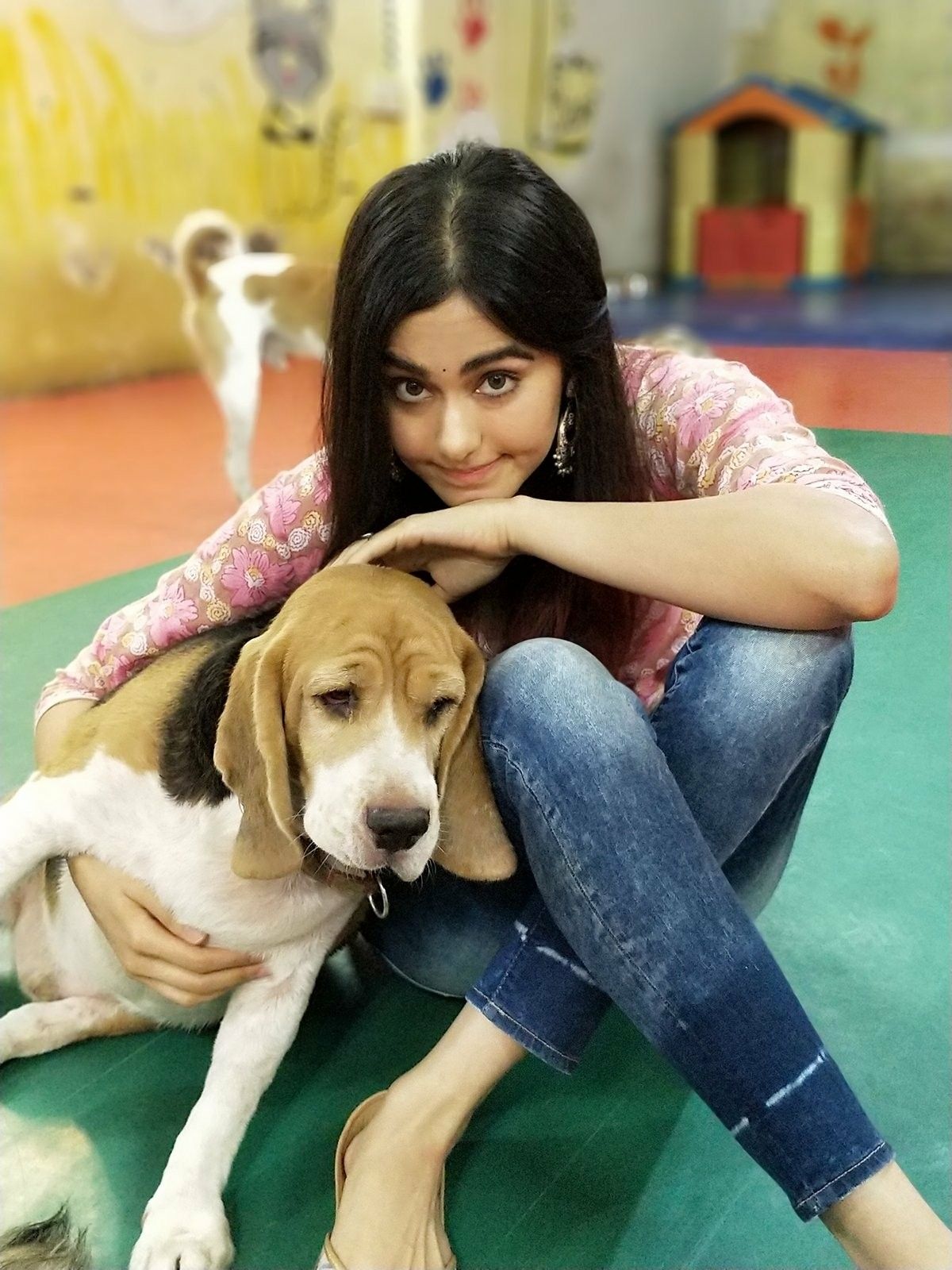 పెంపుడు కుక్కలతో మన హీరోయిన్లు.. కాస్ట్‌లీ పెట్ డాగ్స్.. | Hot ...