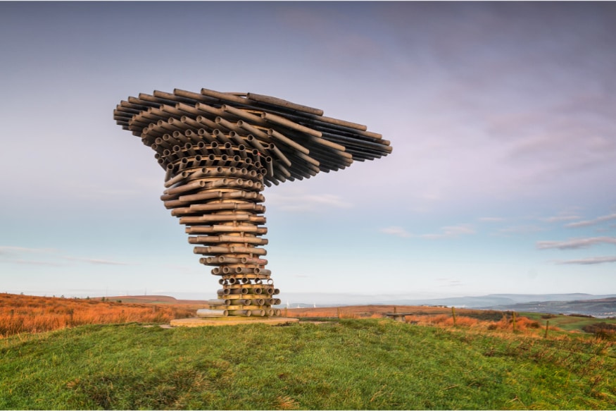 ఆశ్చర్యం... అద్భుతం... చెట్టు నుంచీ వస్తున్న సంగీత స్వరాలు... మీరే ...