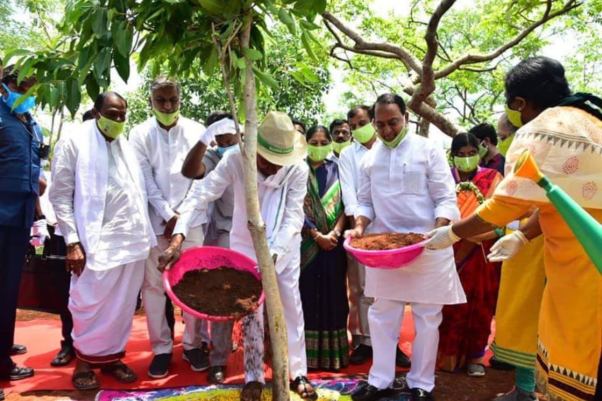 Haritha Haram | తెలంగాణలో హరితహారం.. ఫొటోల్లో..