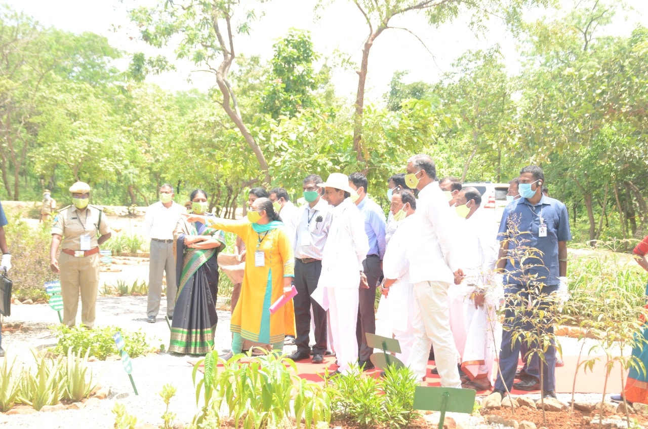 Haritha Haram | తెలంగాణలో హరితహారం.. ఫొటోల్లో.. | Telangana Haritha ...