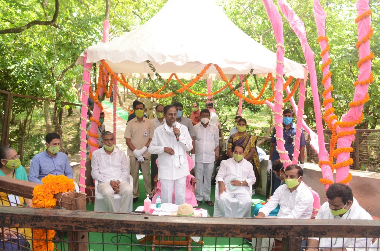 Haritha Haram | తెలంగాణలో హరితహారం.. ఫొటోల్లో.. | Telangana Haritha ...