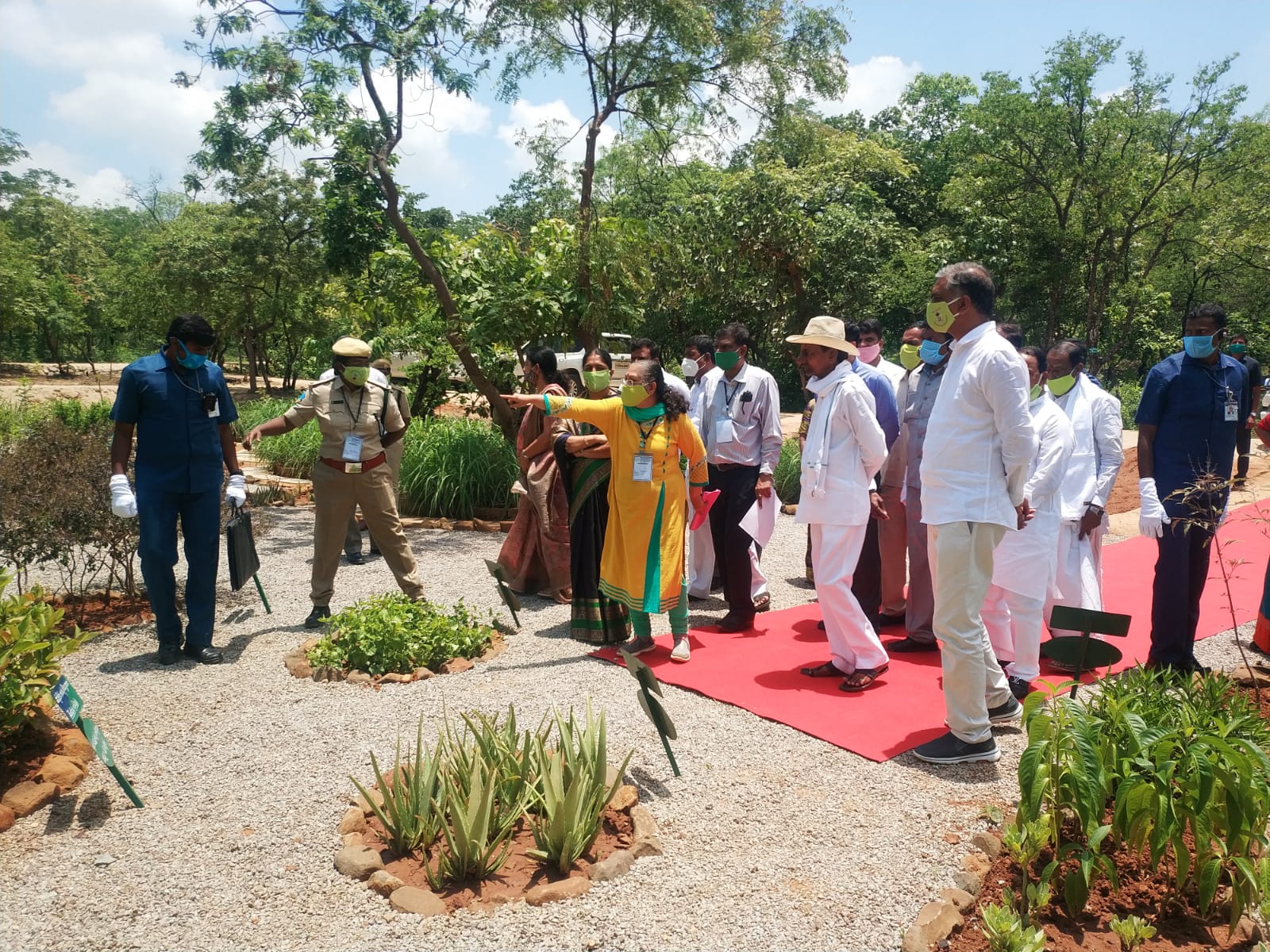 Haritha Haram | తెలంగాణలో హరితహారం.. ఫొటోల్లో.. | Telangana Haritha ...