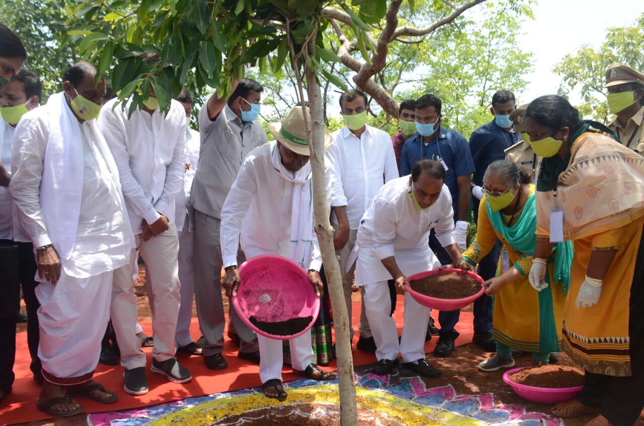 Haritha Haram | తెలంగాణలో హరితహారం.. ఫొటోల్లో.. | Telangana Haritha ...