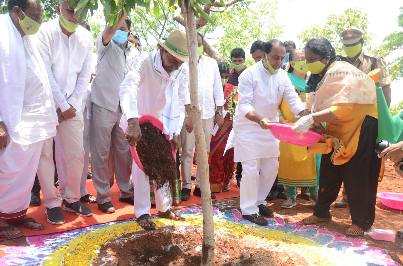 Haritha Haram | తెలంగాణలో హరితహారం.. ఫొటోల్లో.. | Telangana Haritha ...