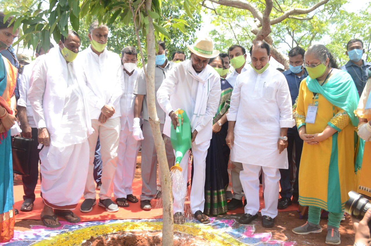 Haritha Haram | తెలంగాణలో హరితహారం.. ఫొటోల్లో.. | Telangana Haritha ...