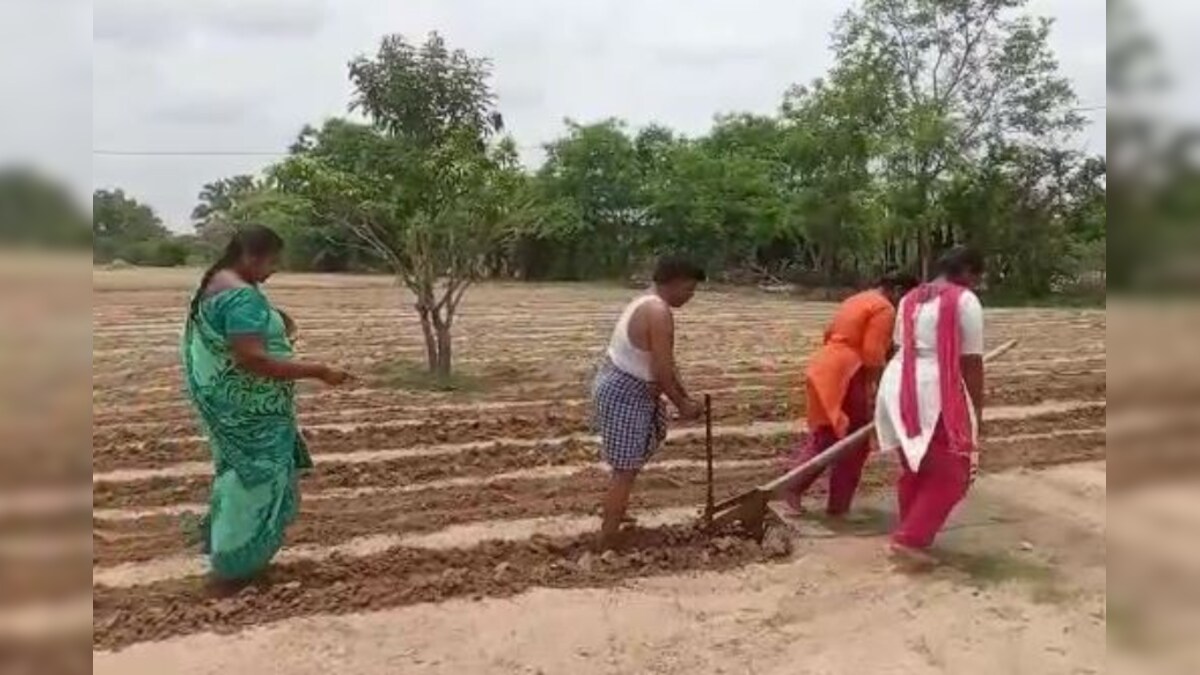 Video: నాన్న కోసం నాగలిపట్టిన కూతుళ్లు... ఎద్దులుగా మారి.. | When COVID ...