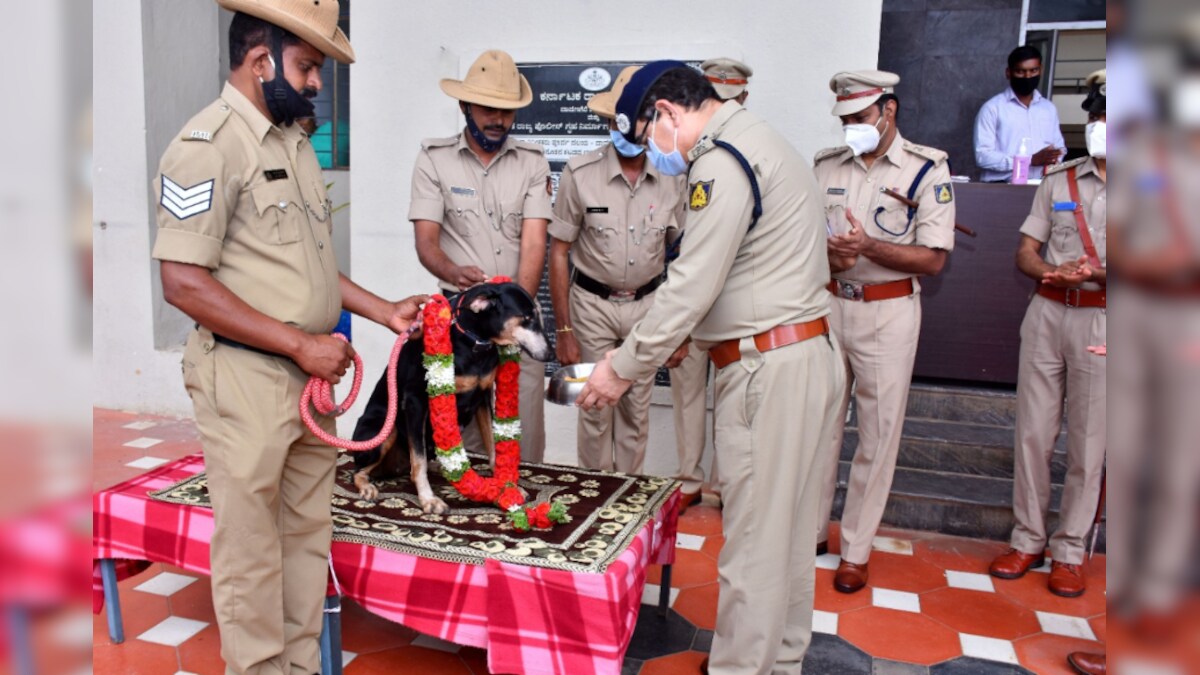 12 కిలోమీటర్లు పారిపోయిన హంతకుడు... కనిపెట్టిన కుక్క... సత్కరించిన ...