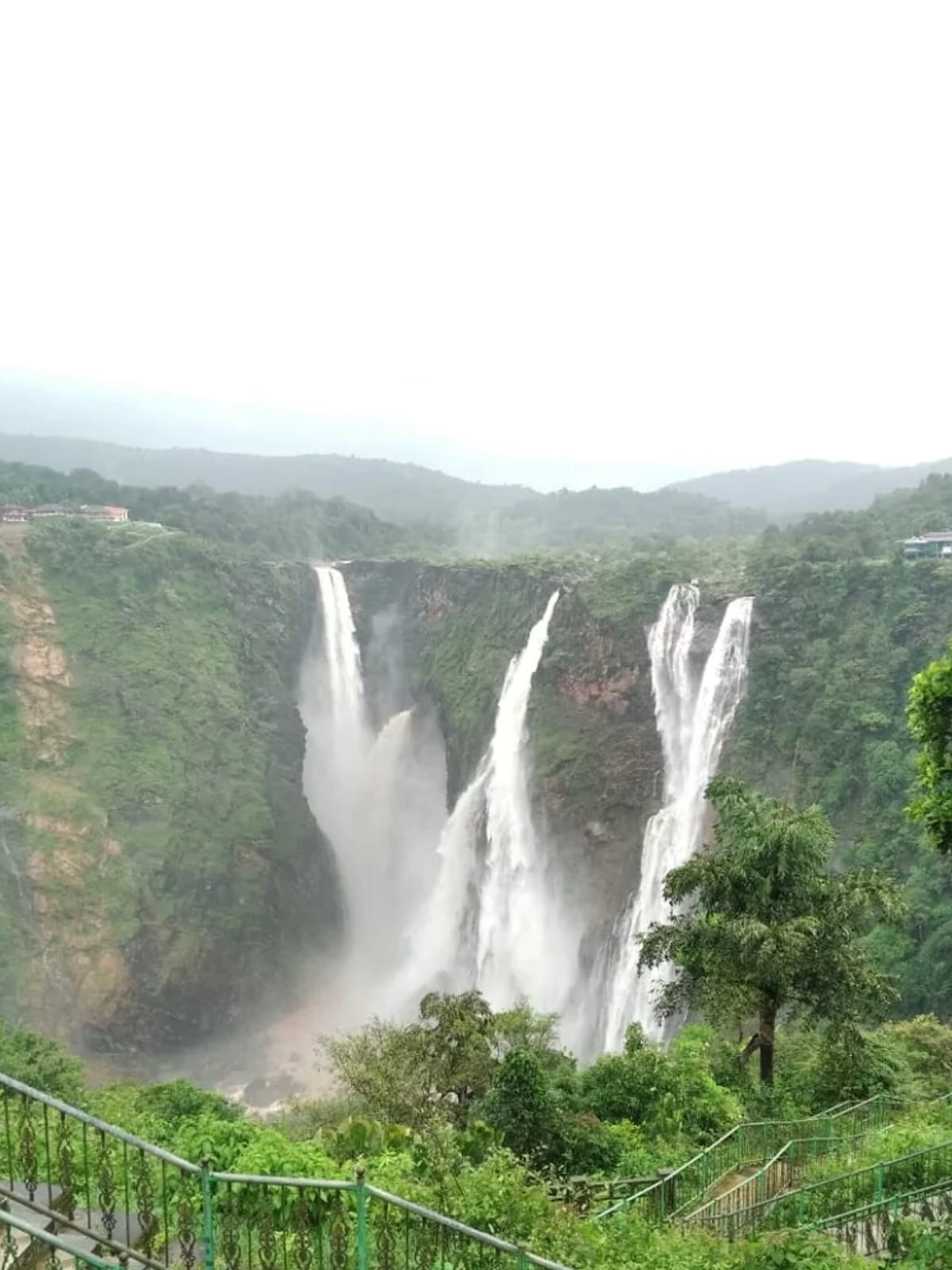 Jog Falls : జోరుగా ప్రవహిస్తున్న జోగ్ జలపాతం... అద్భుత దృశ్యాలు ...