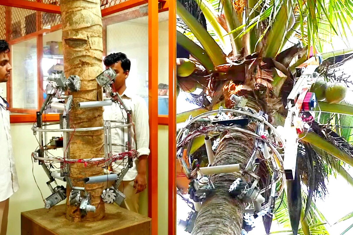Coconut harvesting Robot: చెట్టెక్కి కొబ్బరి బోండాలు కోసే రోబో ...