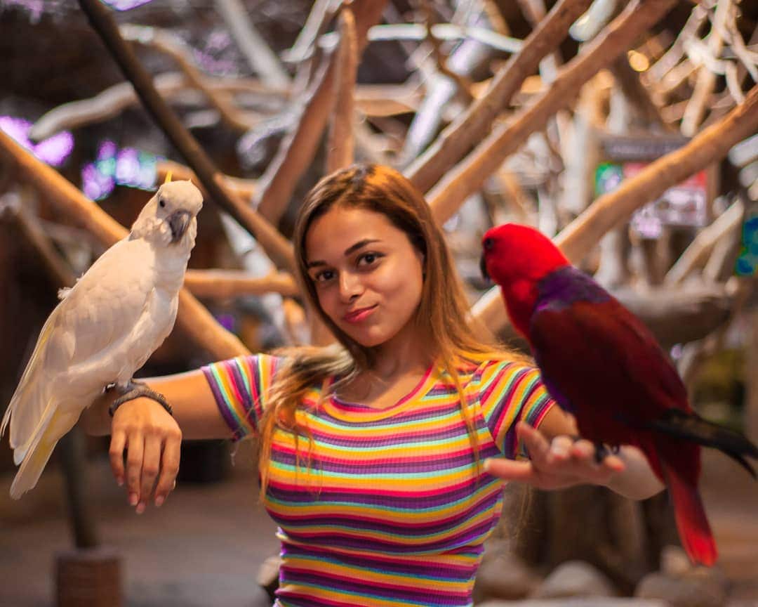 Ashwitha: అశ్విత... ఇండియా నుంచి ఇంటర్నేషనల్ మోడల్ ఎలా అయ్యింది ...