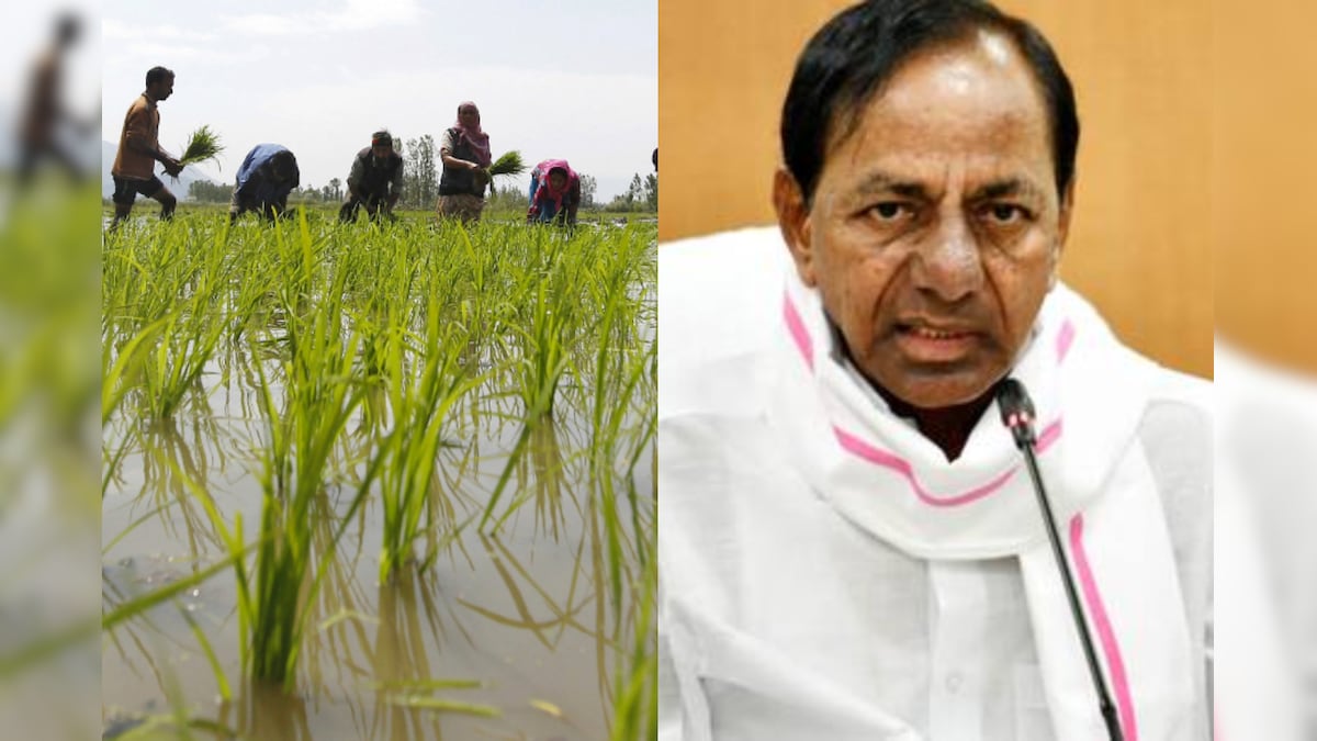 Telangana Rythu Bandhu: నేటి నుంచి రైతన్న ఖాతాల్లో రైతుబంధు డబ్బులు జమ ...