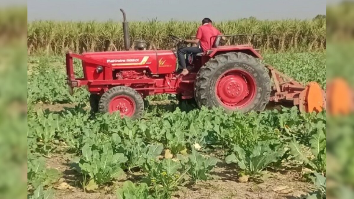 CNG Tractor: డీజిల్ అవసరం లేని ట్రాక్టర్.. రైతుల పాలిట వరం.. వివరాలు ...