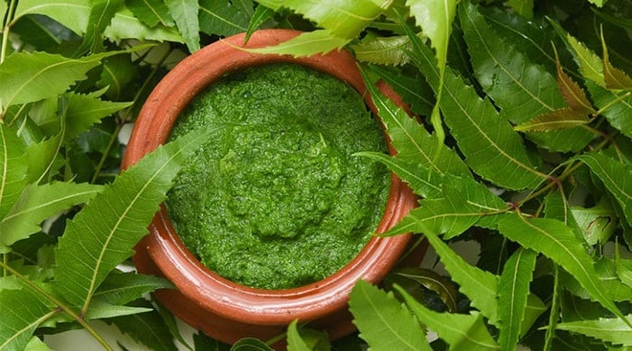 Neem Leaves: వేపాకులతో మీరు నమ్మలేనన్ని ఆరోగ్య ప్రయోజనాలు.. అవేంటో ...