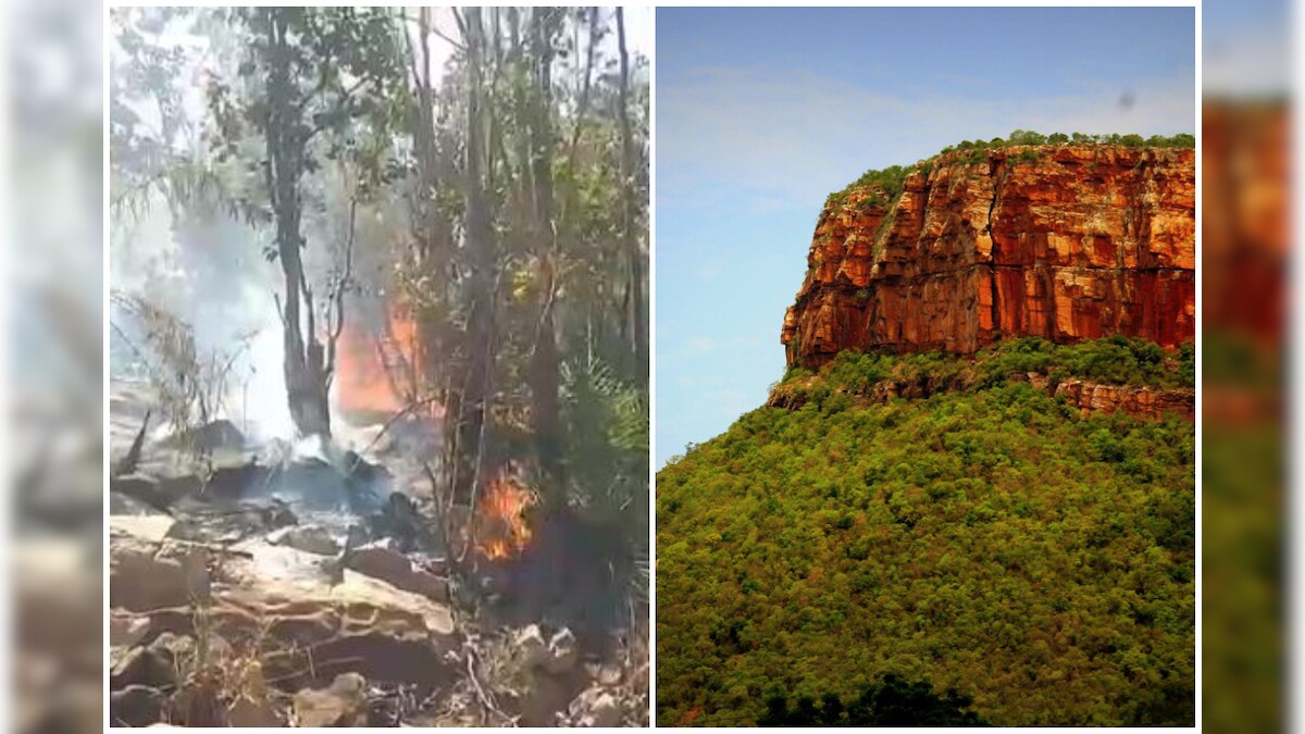 Seshachalam Forest: ప్రమాదంలో అరుదైన సంపద.. ఆ వెంకన్న స్వామే కాపాడాలి ...