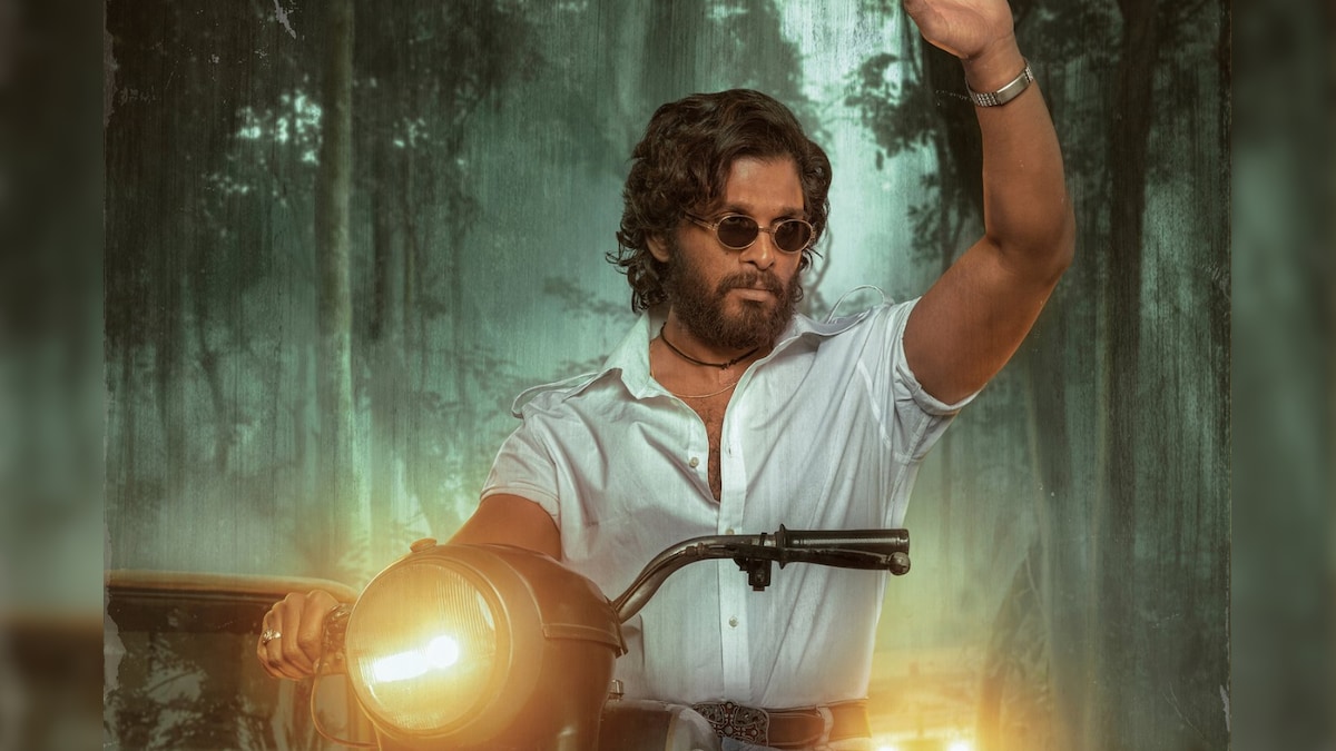 Allu Arjun Icon: మరో సెన్సేషనల్ పాత్రలో అల్లు అర్జున్.. ‘ఐకాన్’ అందుకే ...