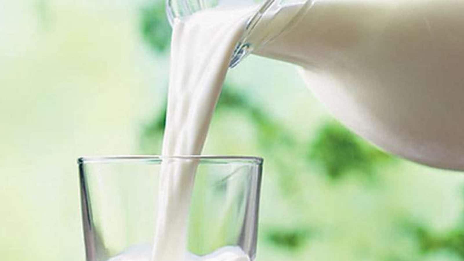 Vegan Milk: వేగన్ మిల్క్ అంటే ఏంటి? ఎలాంటి మొక్కల నుంచి వీటిని ...