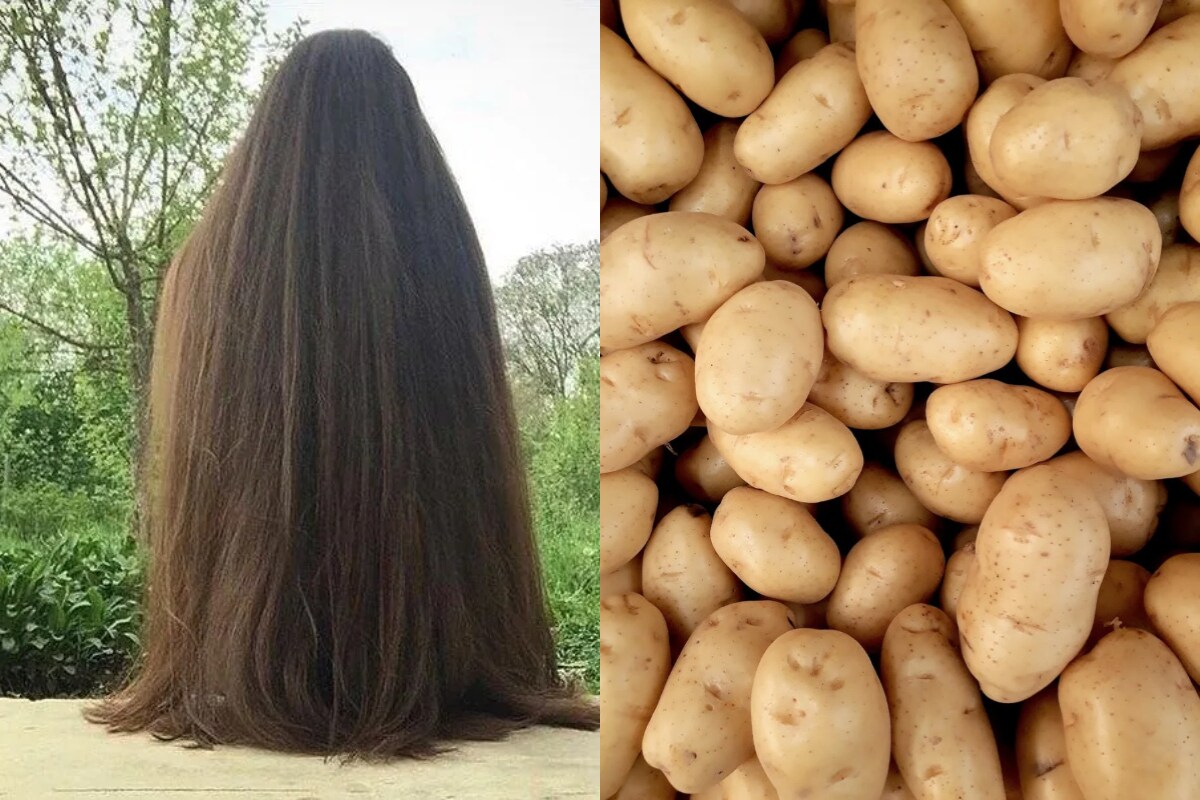 Hair Potato Tip: జుట్టు తెల్లబడిందా... డోంట్ వర్రీ... బంగాళా దుంపతో ఇలా ...