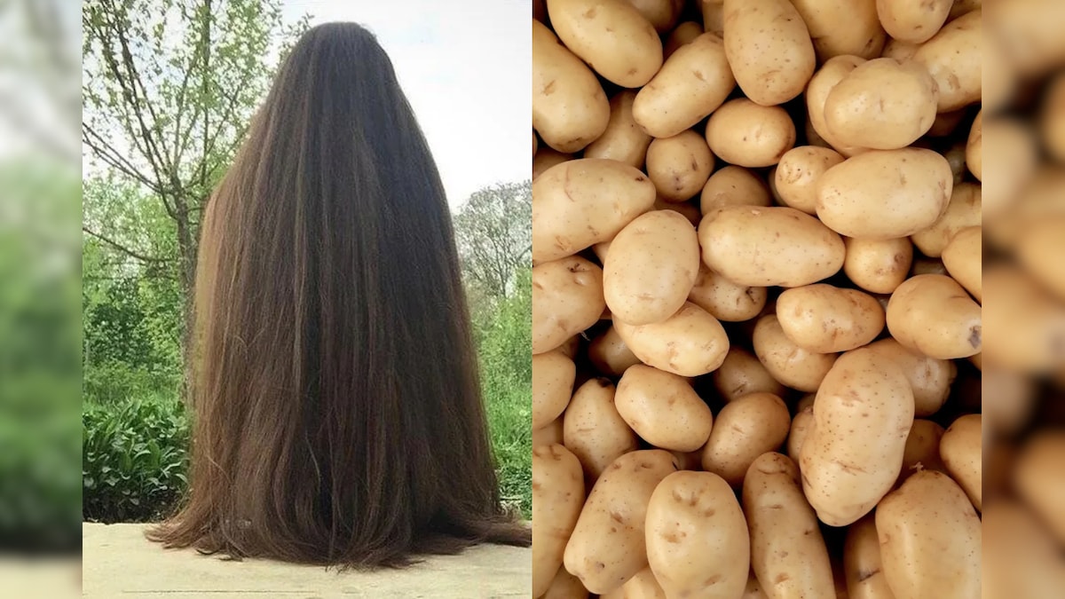 Hair Potato Tip: జుట్టు తెల్లబడిందా... డోంట్ వర్రీ... బంగాళా దుంపతో ఇలా ...