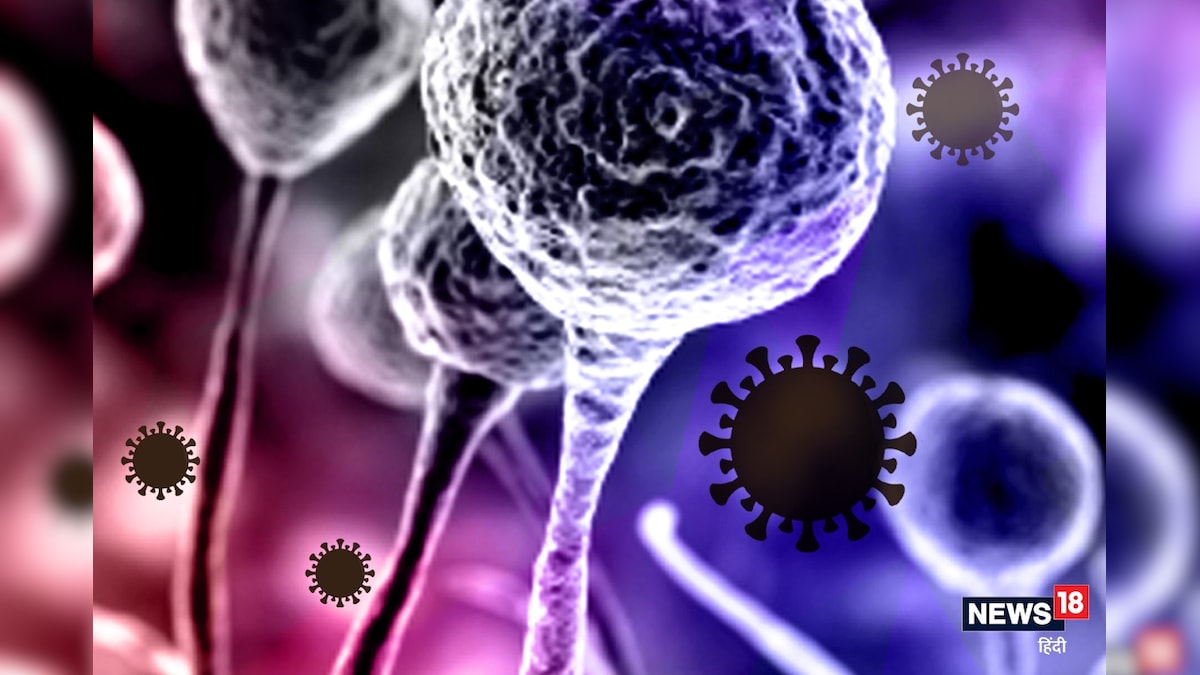 Fungal Infection: ఫంగస్ ఇన్ఫెక్షన్లు ఎలా సోకుతాయి? ఇవి ప్రాణాంతకమా? ఏం ...