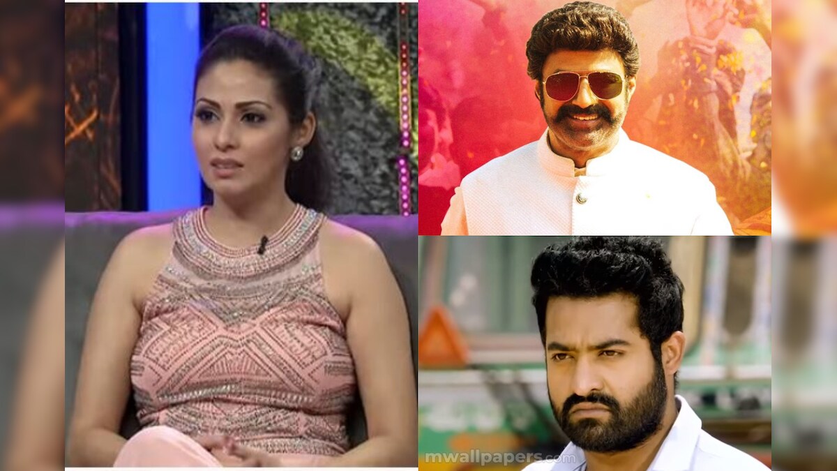 Sadha - NBK - Jr NTR: బాలకృష్ణ, ఎన్టీఆర్‌లపై సదా షాకింగ్ కామెంట్స్.. ఆ హీరోతో ఎఫైర్ గురించి ...