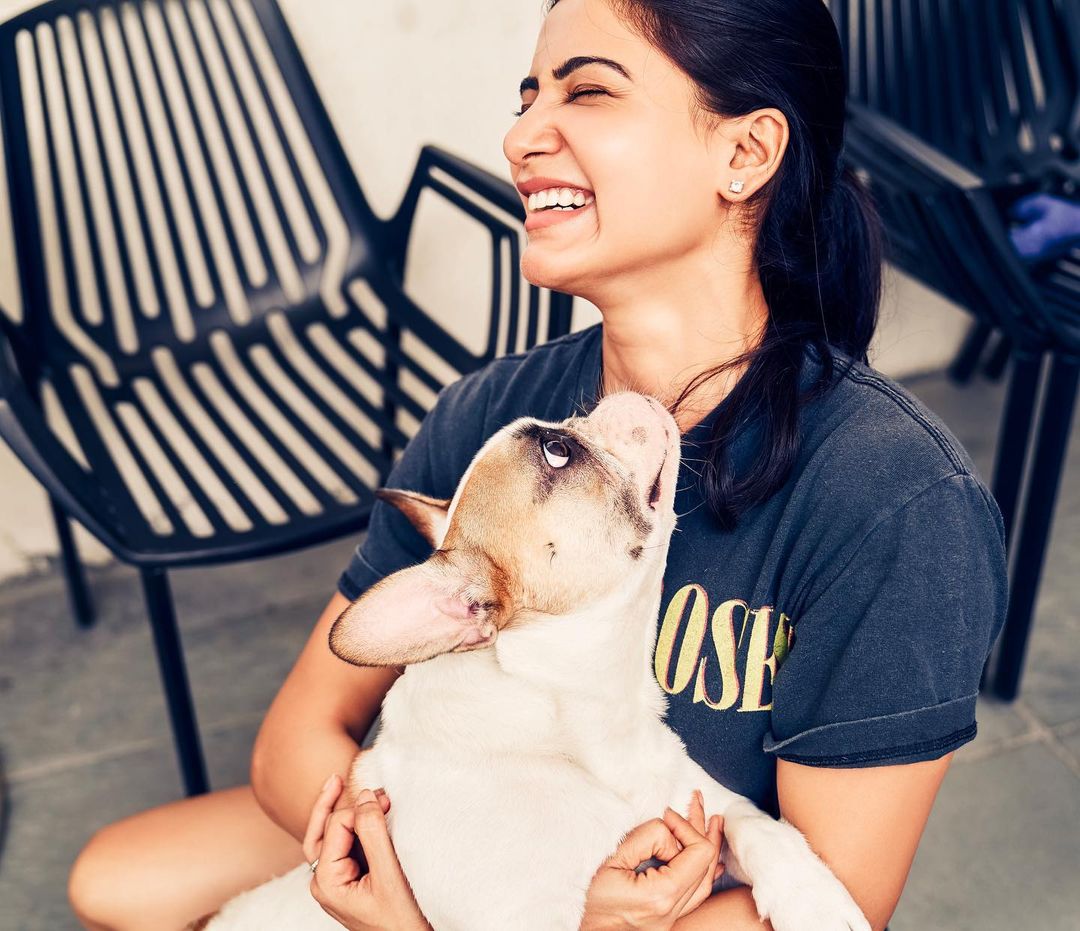 కుక్కలతో టాలీవుడ్ హీరోయిన్లు.. చూస్తే ఫిదా కావాల్సిందే! – News18 తెలుగు