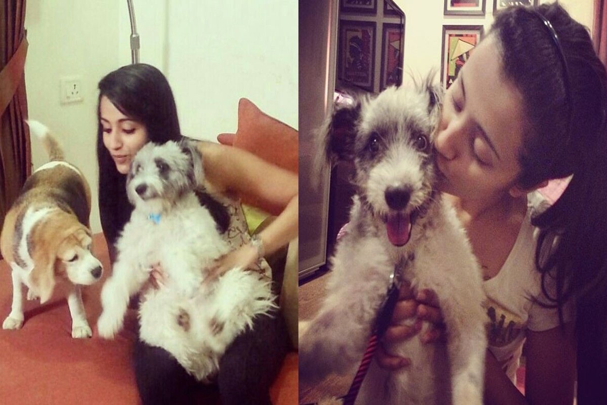 కుక్కలతో టాలీవుడ్ హీరోయిన్లు.. చూస్తే ఫిదా కావాల్సిందే! – News18 తెలుగు