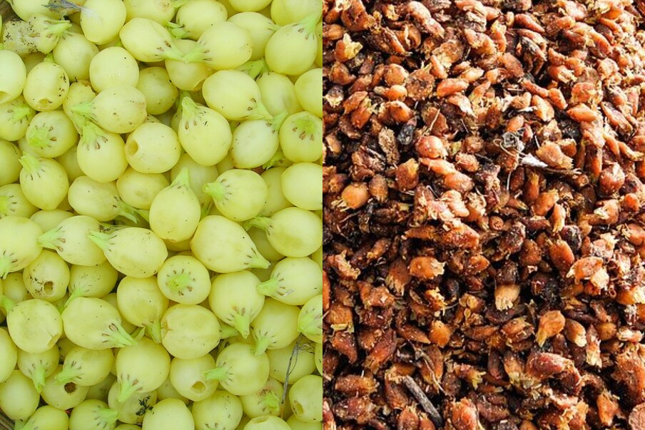 ఇప్ప పూలతో చక్కటి ఆరోగ్యం.. ఈ విషయాలు తెలిస్తే తప్పక కొంటారు | Madhuca ...