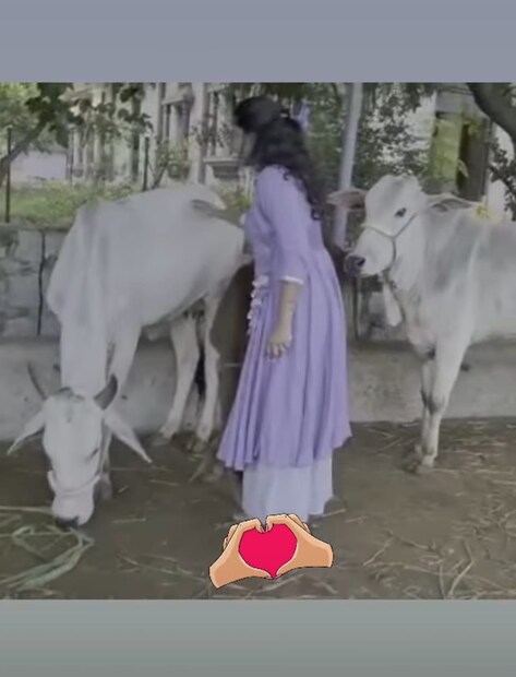 Anchor Vishnu Priya: వీరంతా నా వాళ్లు.. గోవుల సేవలో యాంకర్ విష్ణుప్రియ ...