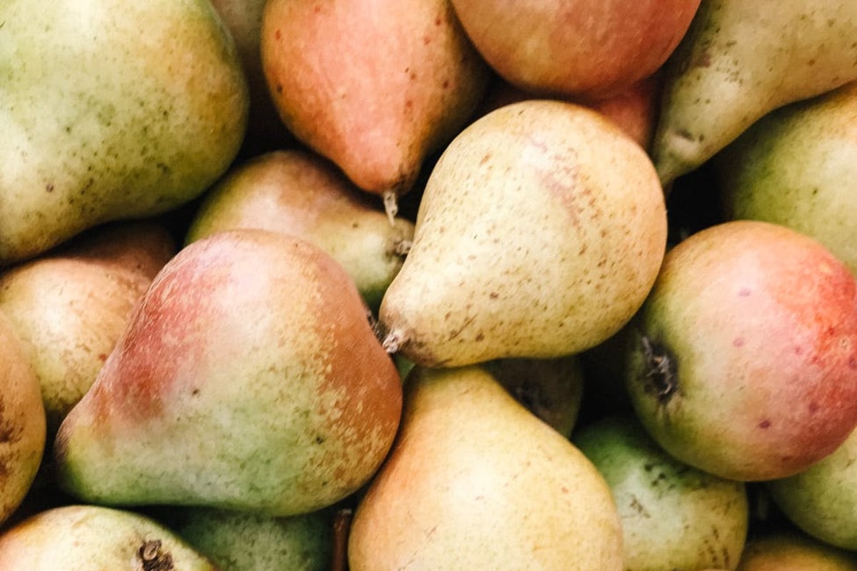 Pears: తప్పనిసరిగా తినాల్సిన పండు పియర్స్... 10 కారణాలు – News18 తెలుగు