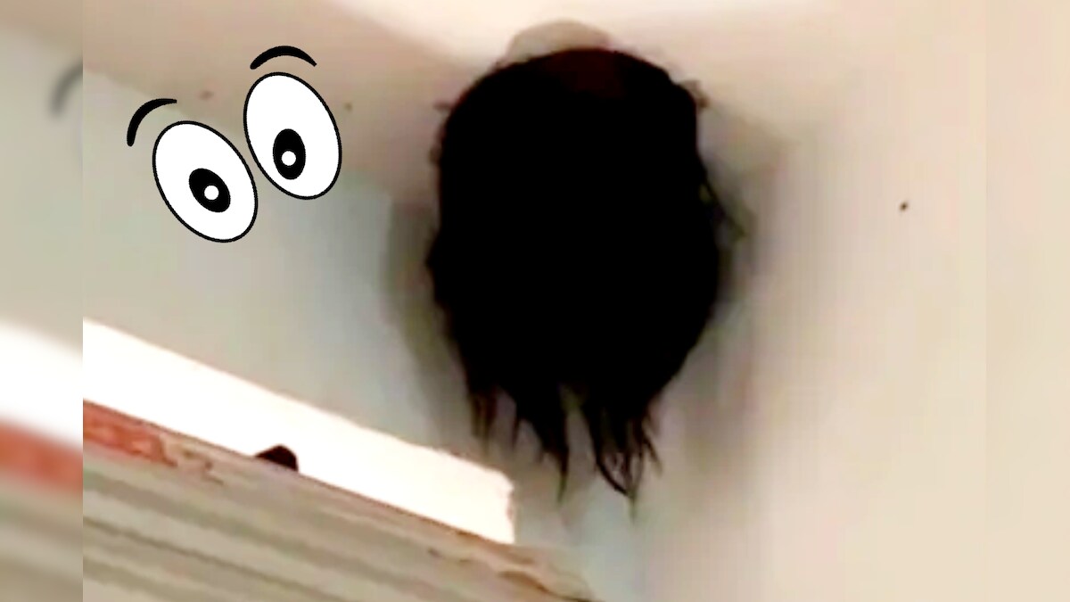 video: సీలింగ్‌లో ఇరుక్కున్న బాలిక తల.. హర్రర్ మూవీలా ఉందన్న నెటిజన్లు ...