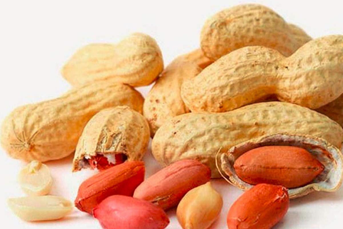 Ground Nut: రోజూ గుప్పెడు వేరుశెనగ తింటే.. ఆ వ్యాధికి చెక్ పెట్టొచ్చు ...