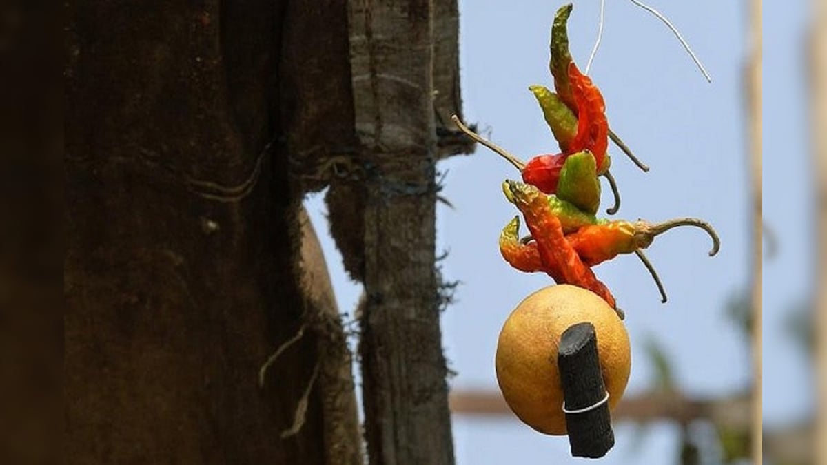 Lemon And Chilli: గుమ్మానికి నిమ్మకాయ, మిరపకాయ ఎందుకు వేలాడదీస్తారో ...