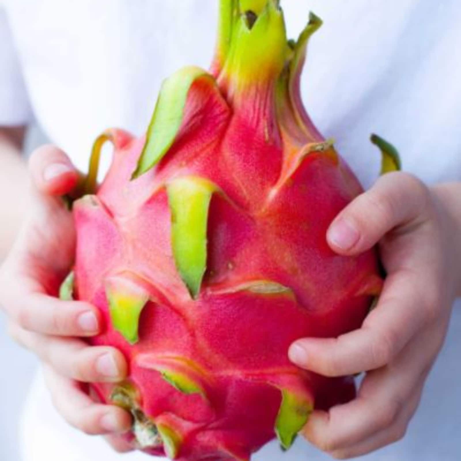 డ్రాగన్ ఫ్రూట్స్‌కి ఆ పేరెలా వచ్చింది..? ప్రయోజనాలు ఏంటో తెలిస్తే ...