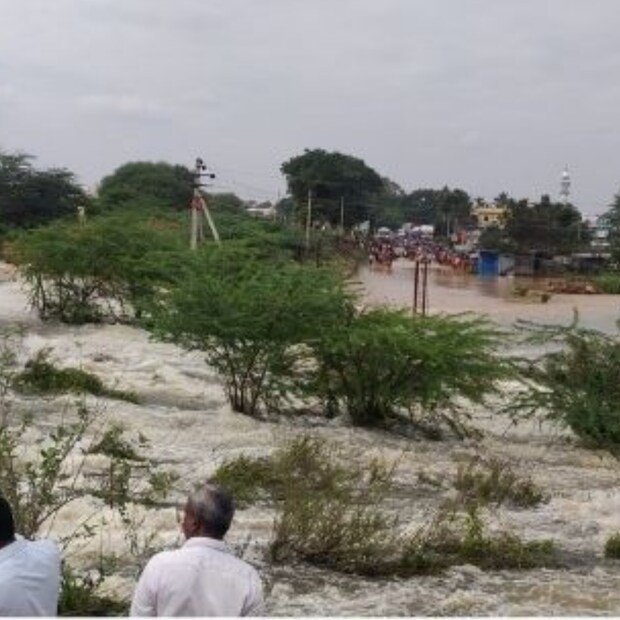 Rayala Cheruvu: రాకాసి రాయల చెరువు.. మరోసారి డేంజర్ బెల్స్.. వరుస ...