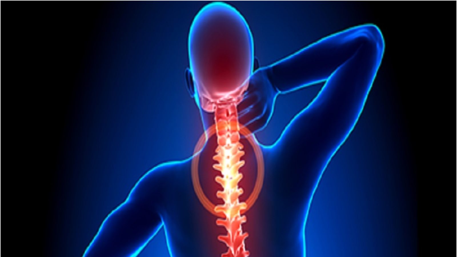 Bone strength food: పుల్లల్లా ఉన్న ఎముకలు ఐరన్ రాడ్‌లా మారాలా? ఈ ఆహారం ...