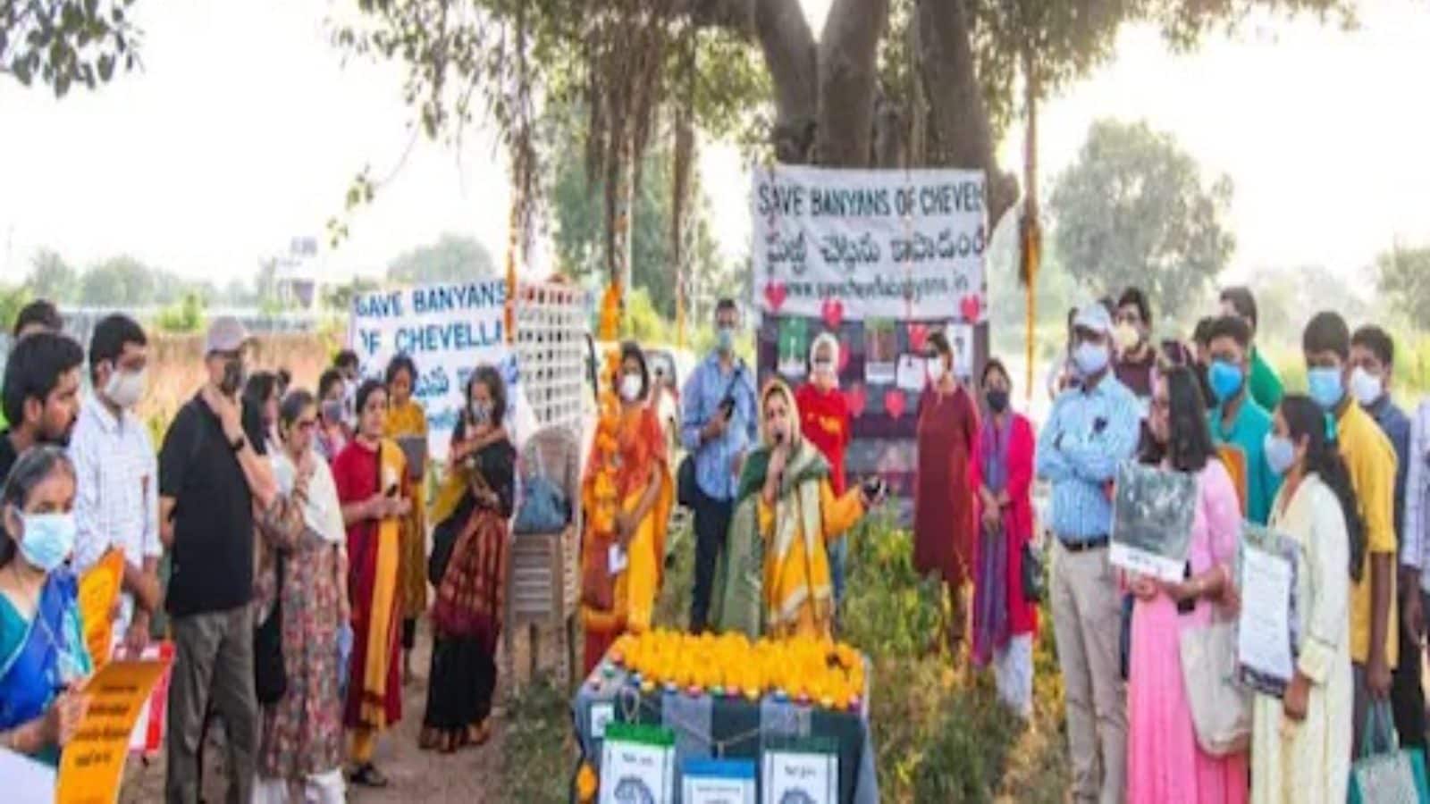 telangana nature lovers started save banyans of chevella, Save Banyans ...