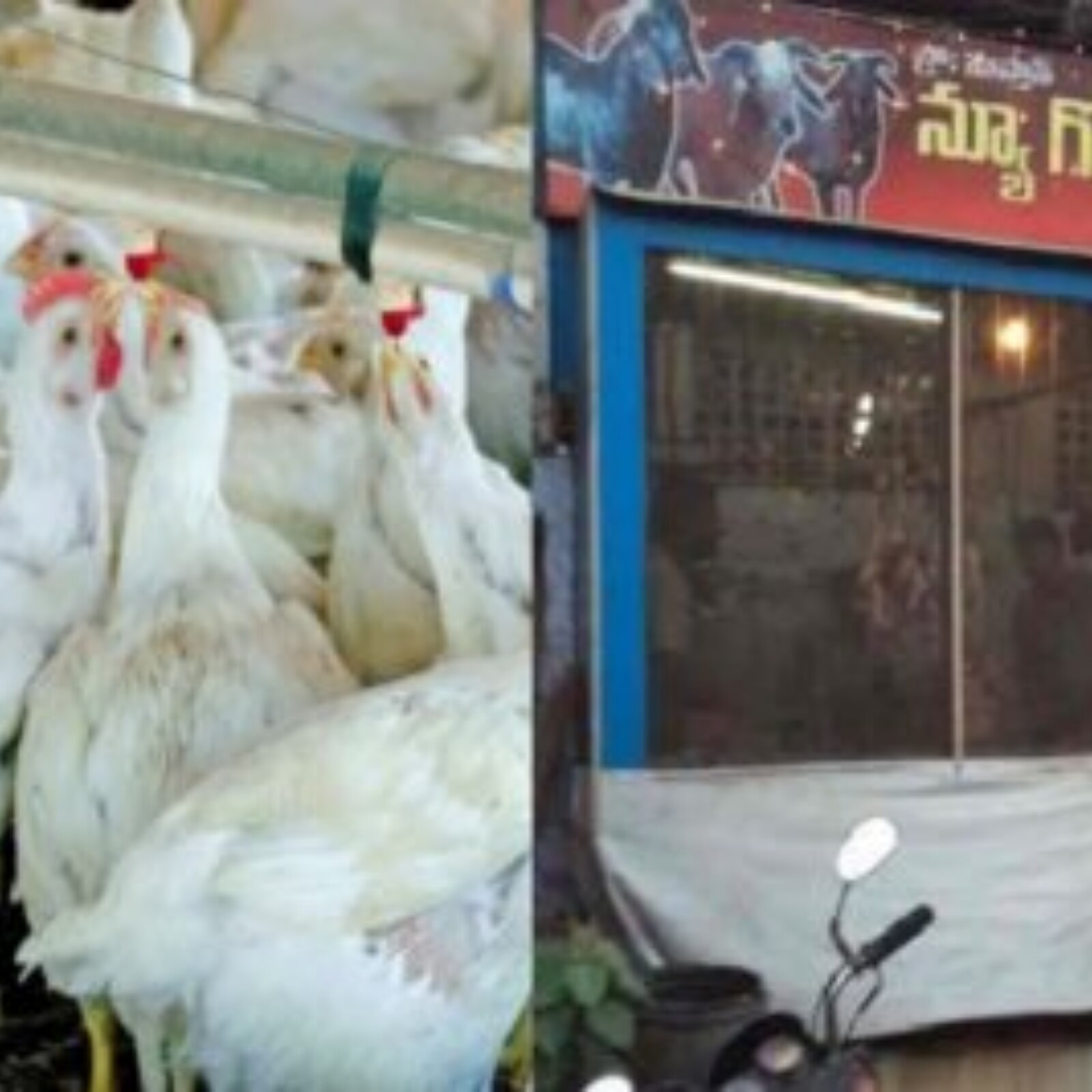 Chicken Price: తగ్గేదేలేదంటున్న కోడి.. కిలో చికెన్ ధర తెలిస్తే ...