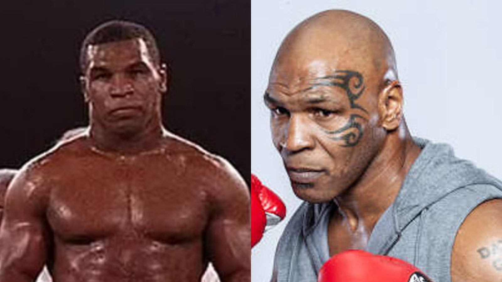 Mike Tyson: మ్యాచ్‌కు ముందు సెక్స్.. చంపేస్తానేమో అనే భయం.. సీక్రేట్స్ ...
