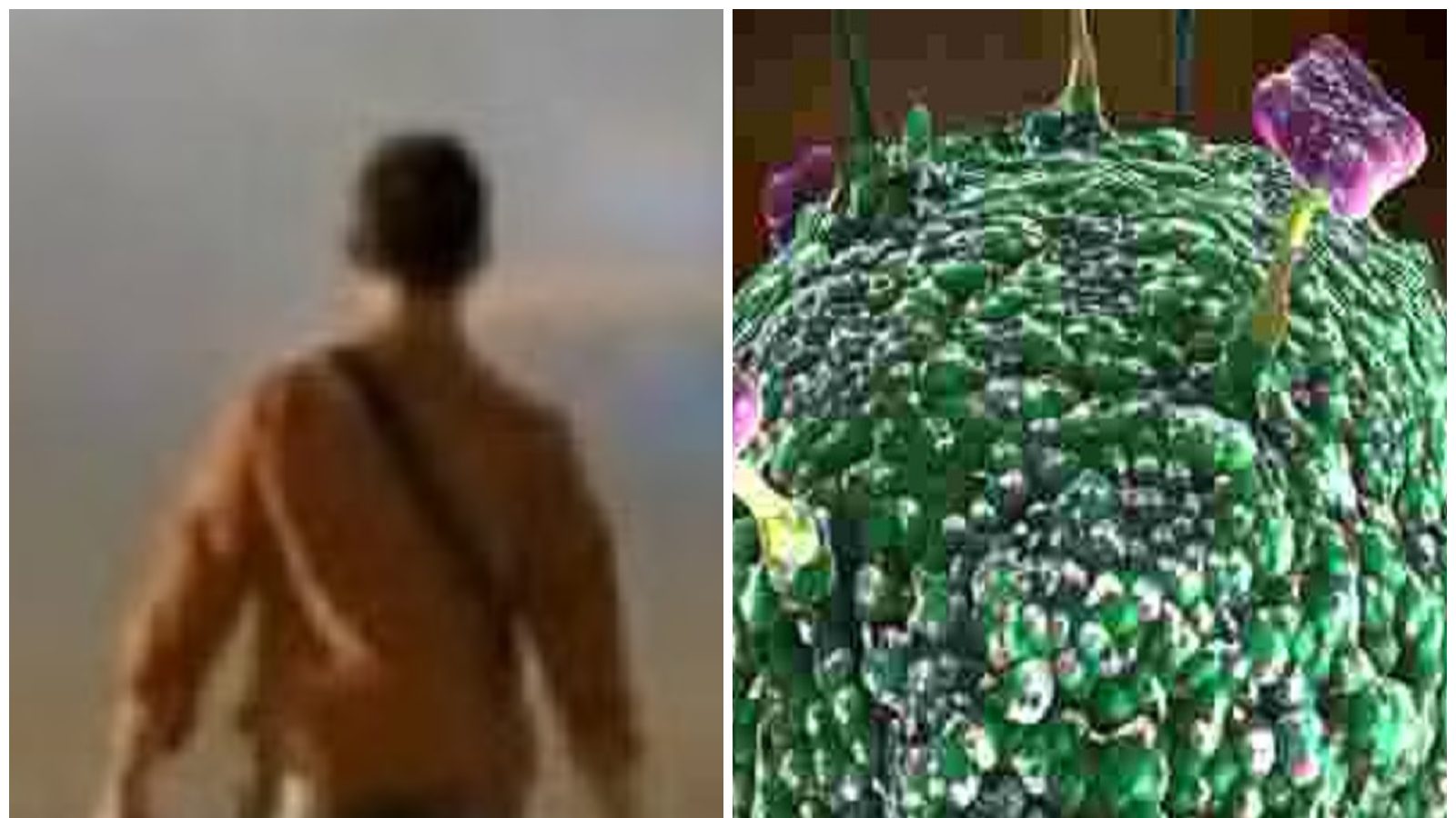 Norovirus 2021: నేను వేరే గ్రహానికి వెళ్లిపోతా మామ.. నోరోవైరస్‌పై పేలుతున్న జోకులు | norovirus ...