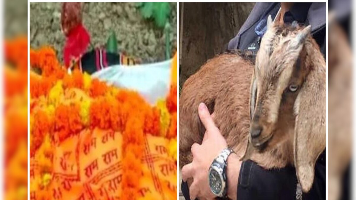 Goat Last Rites: మేకకు అంత్యక్రియలు..దశదినకర్మ చేసి భోజనాలు.. గుండు ...