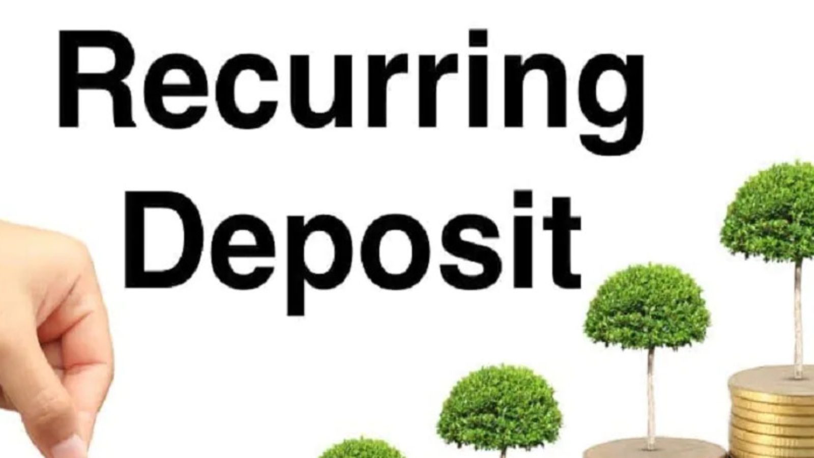 How is the Interest Under the Recurring Deposit Scheme Calculated check ...