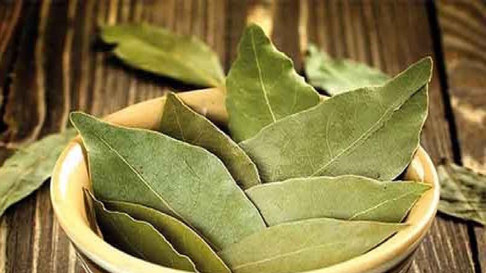Biryani Leaf Business: నెలకు రూ. లక్షల్లో సంపాదన రావాలంటే.. ఇలా చేయండి ...