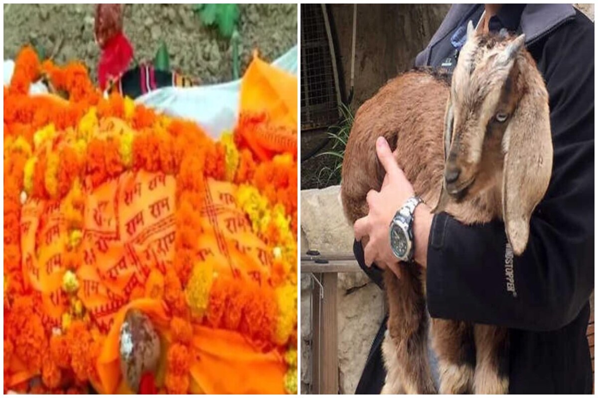 Goat Last Rites: మేకకు అంత్యక్రియలు..దశదినకర్మ చేసి భోజనాలు.. గుండు ...
