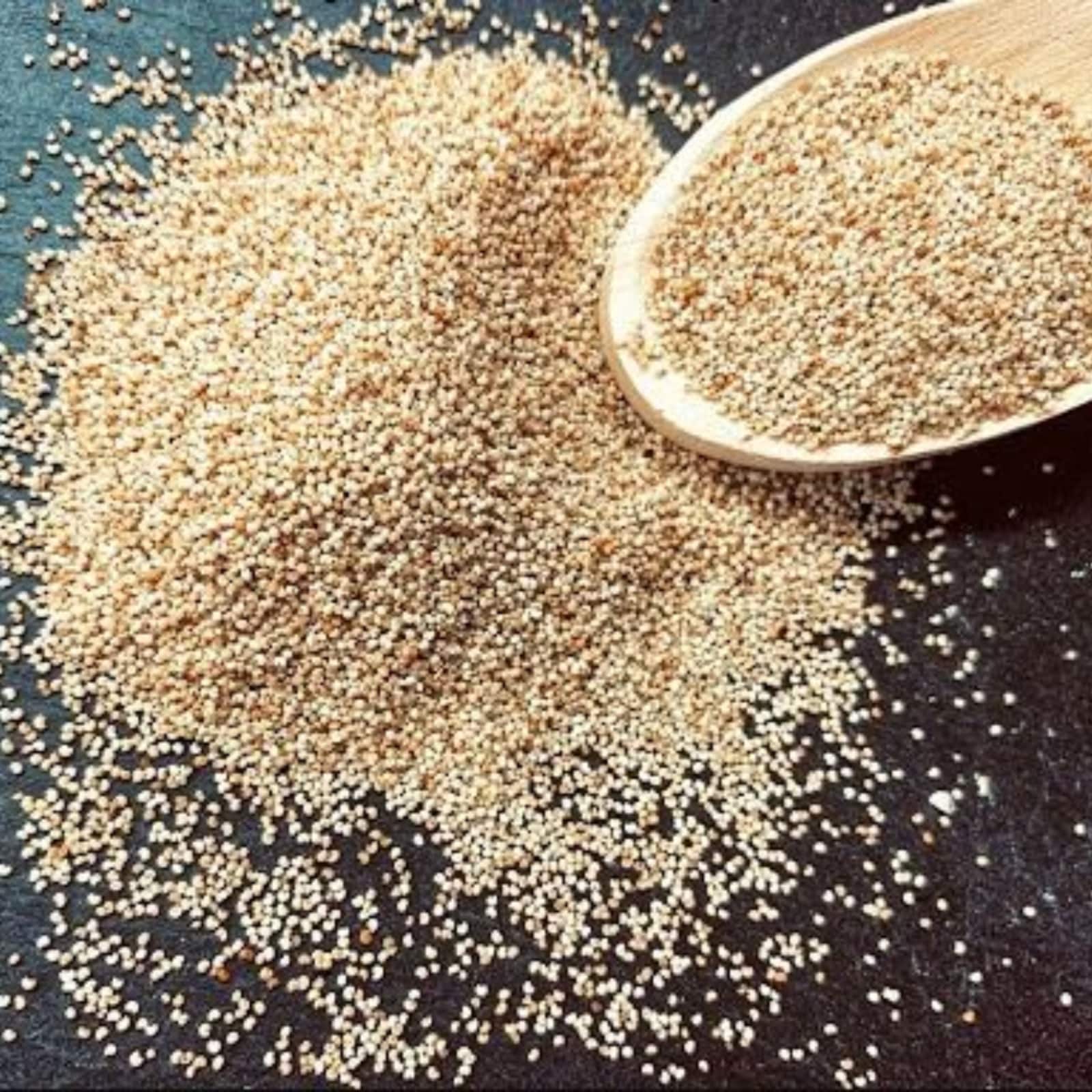 Poppy Seeds: గసగసాలతో బోలెడు ప్రయోజనాలు.. అలాగని ఎక్కువగా తీసుకుంటే ...