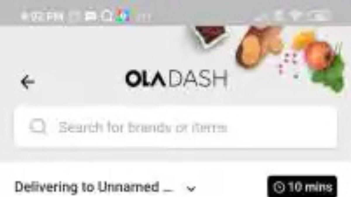 Ola Dash: ఓలా స్టోర్ ఇకపై ఓలా డాష్ గా పేరు మార్పు...10 నిమిషాల్లో ...