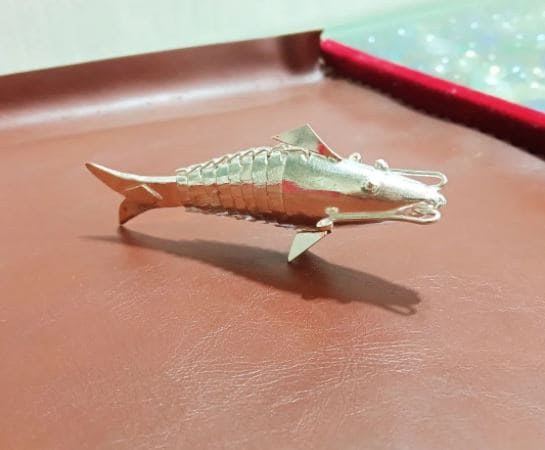 Vastu: లక్ష్మీదేవి స్వరూపం ఈ చేప విగ్రహం..ఇంట్లో పెట్టుకుంటే ధనానికి ...