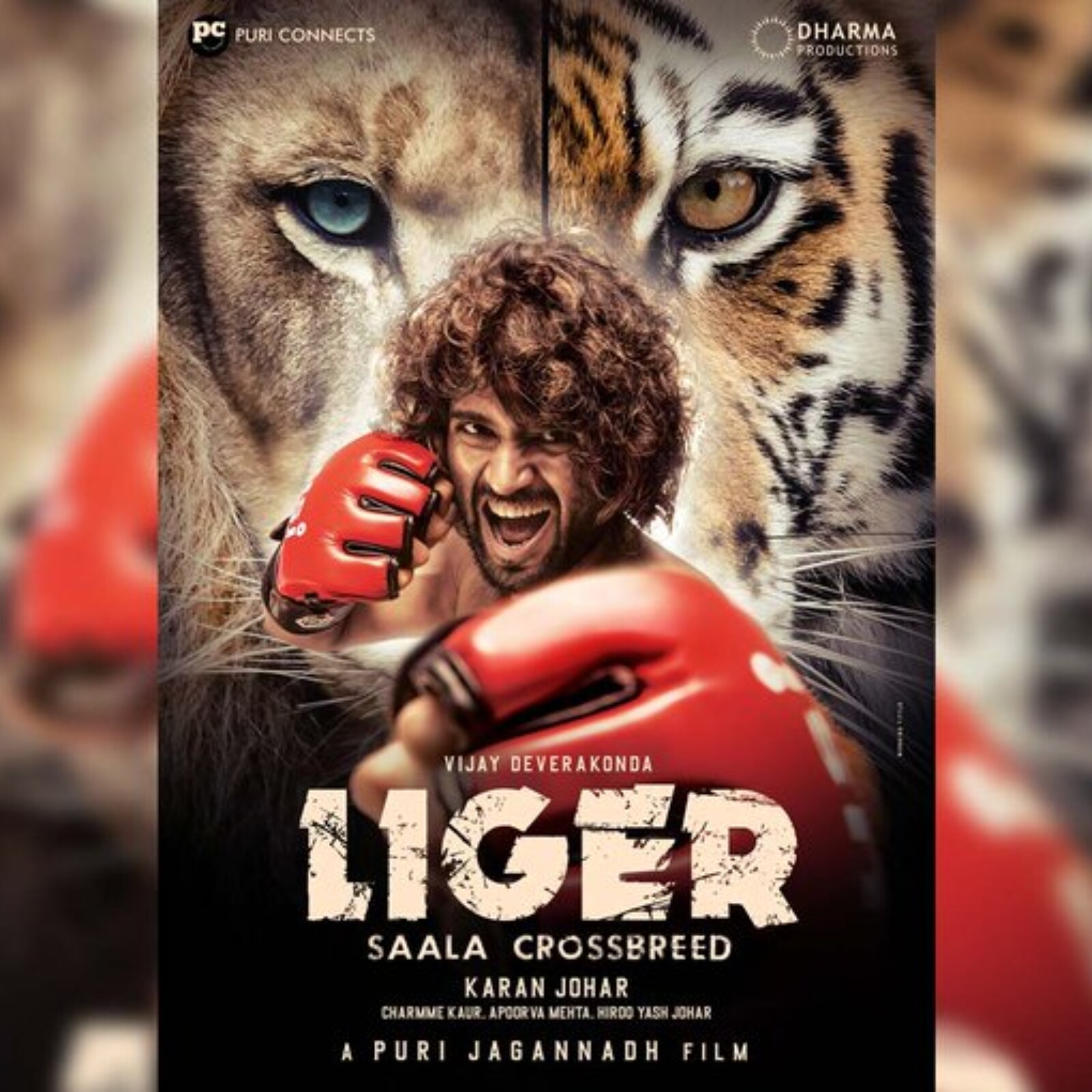 Boxing Backdrop Movies : గని సహా బాక్సింగ్ నేపథ్యంలో తెరకెక్కిన ఈ సినిమాలు తెలుసా.. | Boxing ...