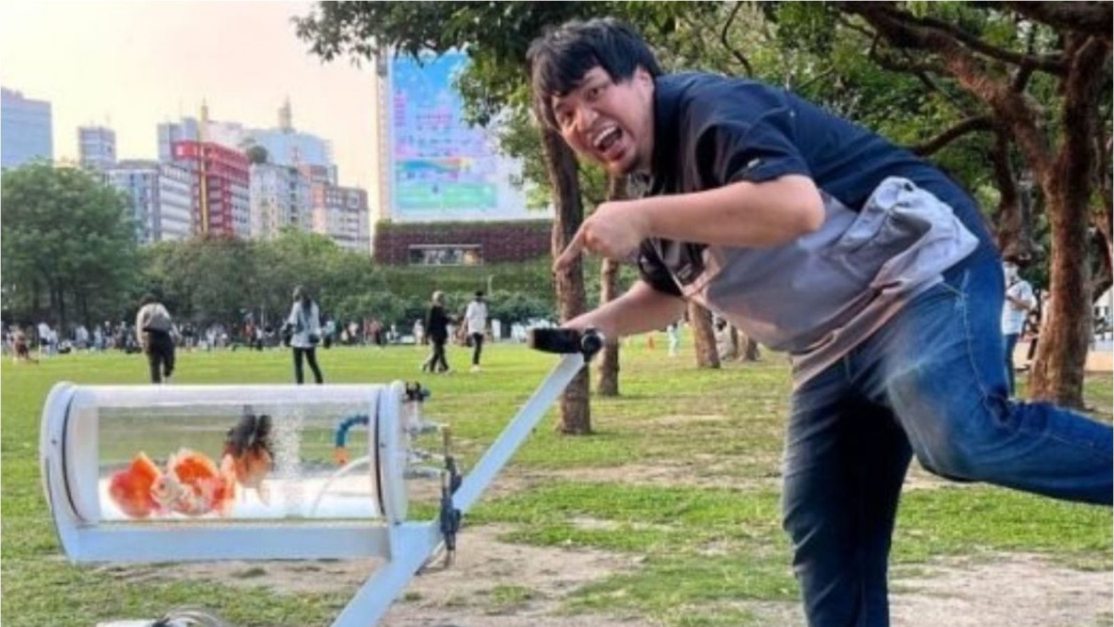 Fish Pram: ఇకపై చేపలు కూడా రోడ్లపై తిరుగుతాయి.. వాకింగ్‌కు వెళ్తాయి ...